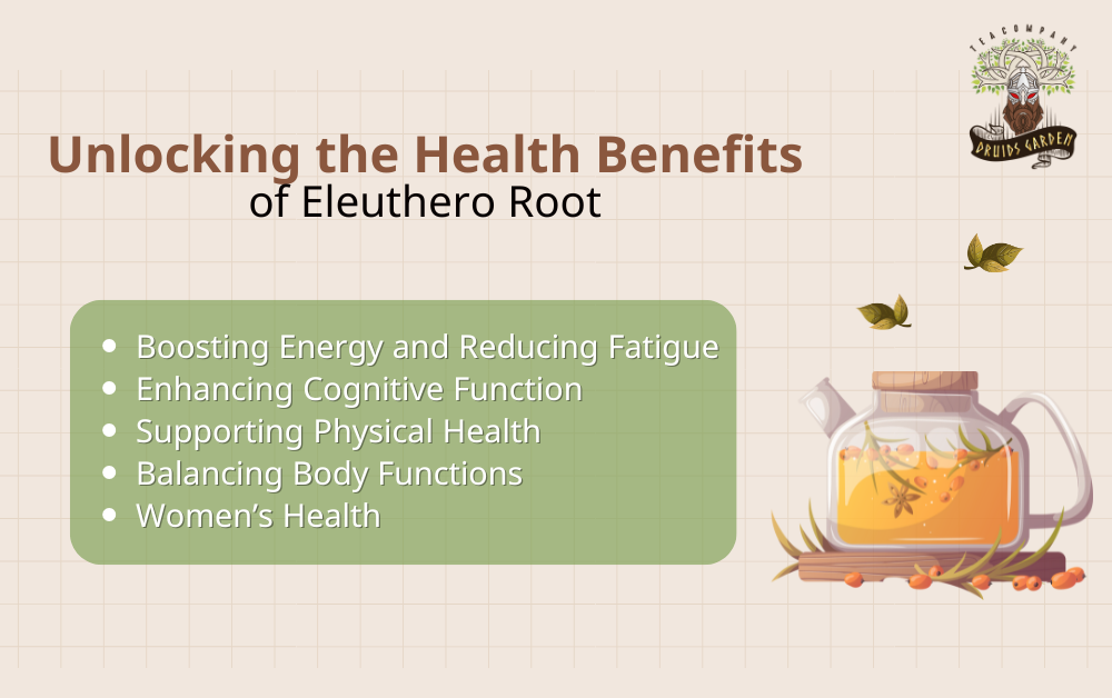 Unlocking the Health Benefits of Eleuthero Root - Druid's Garden Tea ...